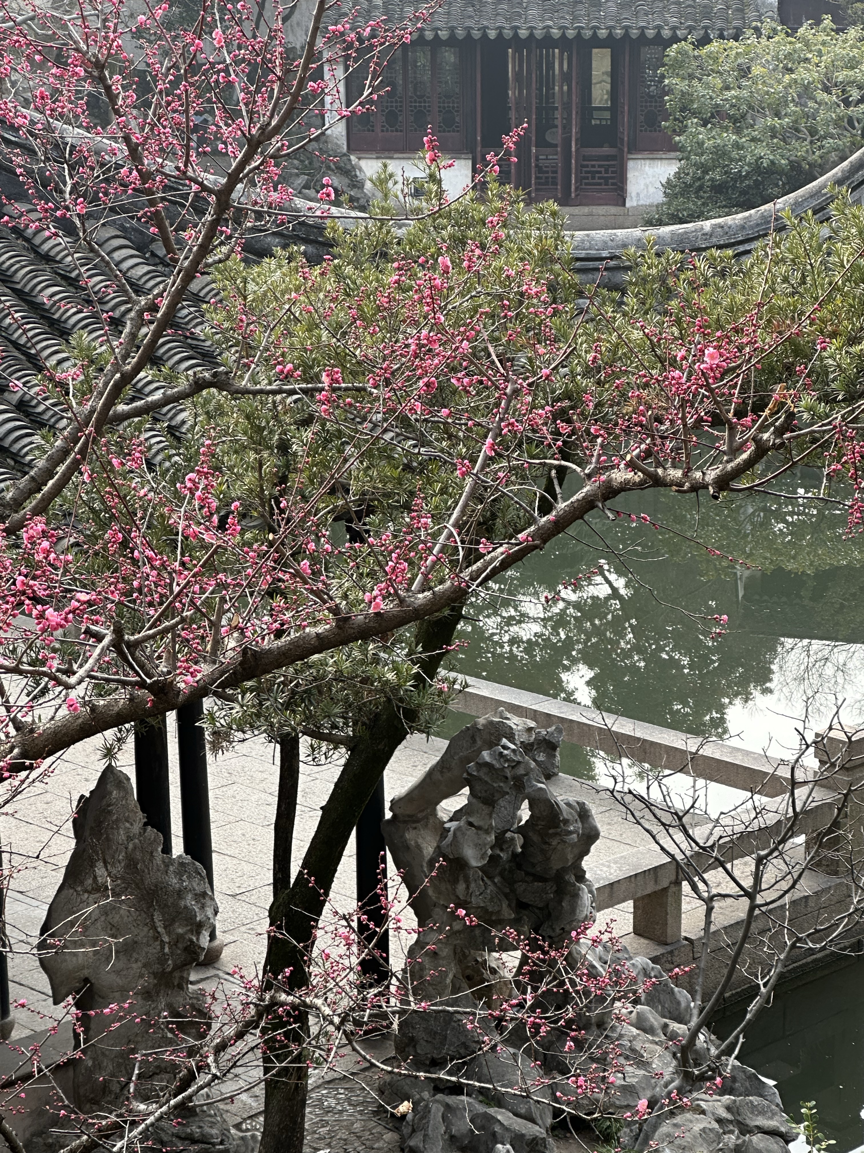 Exploring Tuisi Garden in Tongli Ancient Town - Rose Campau
