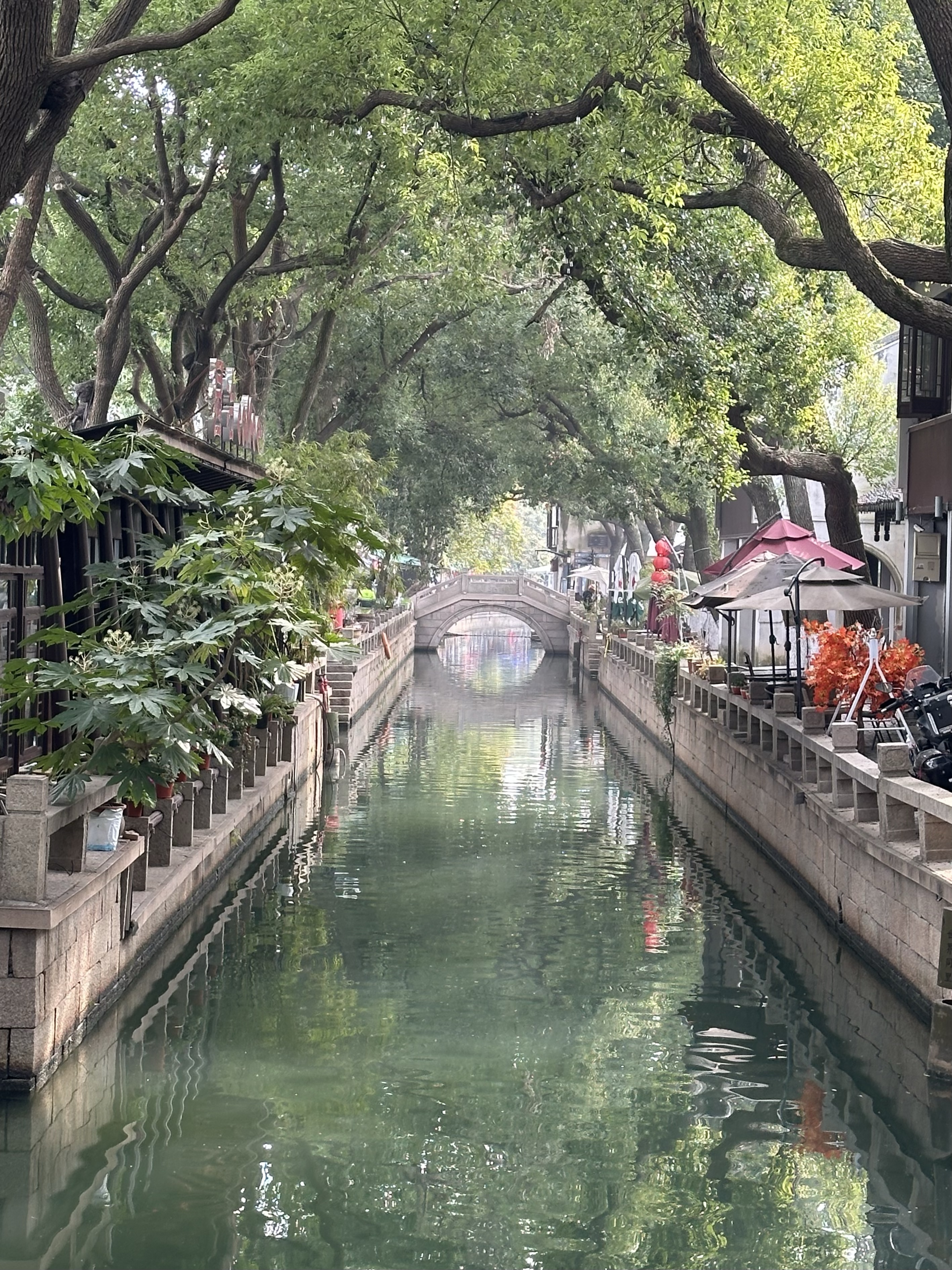 A Night in Tongli: Exploring China’s Ancient Water Town - Rose Campau