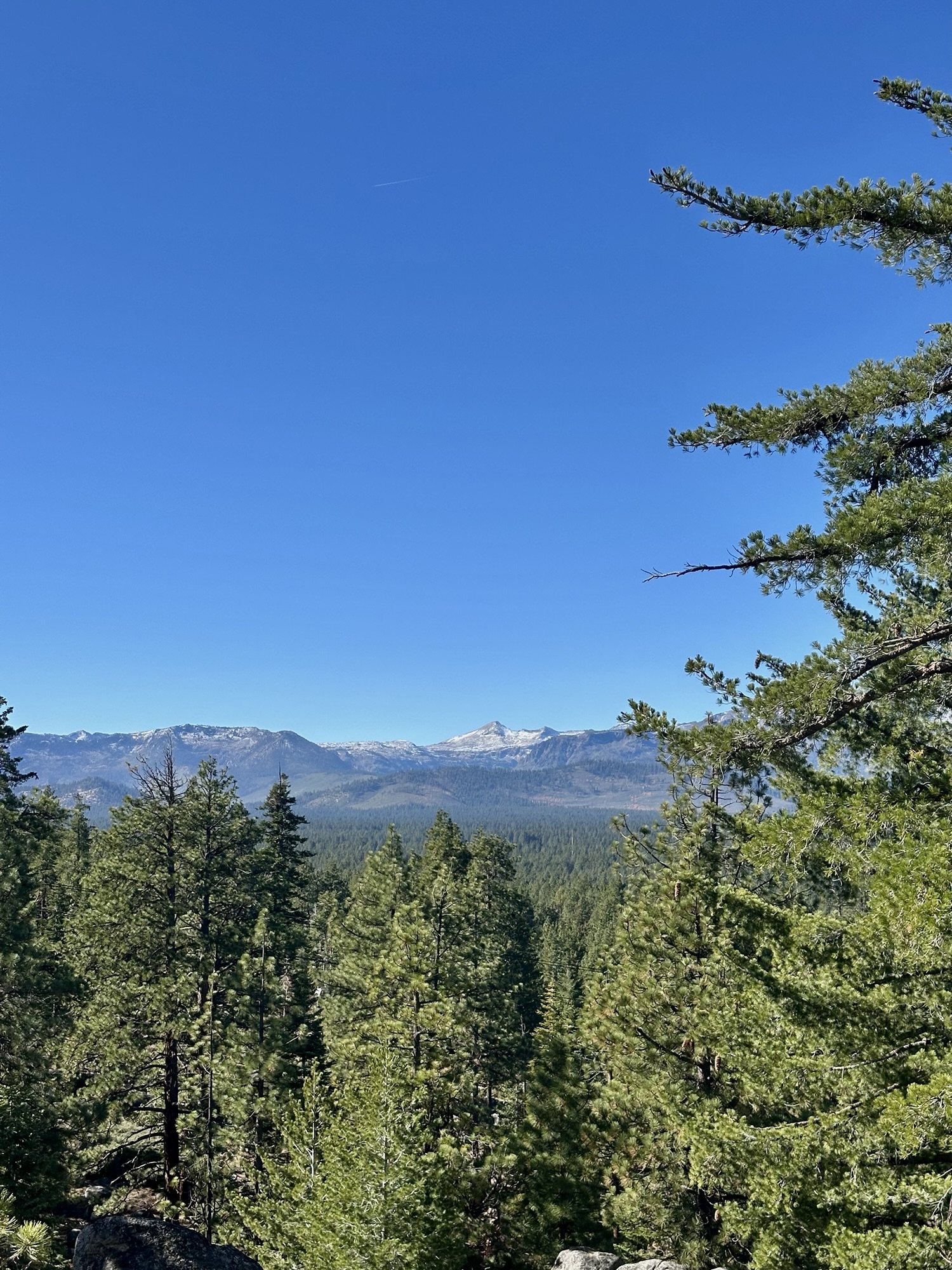 Van Sickle Loop Trail | Best Short Hike in South Lake Tahoe with Lake Views